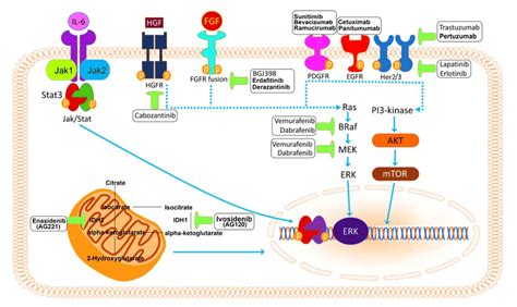 The Complex Molecular Horizon Of Biological Targets In Cholangiocarcinoma Download Scientific