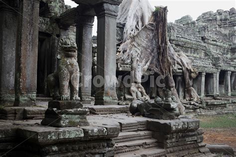 앙코르와트 캄보디아 사원 문화유산 유네스코 사진 이미지 일러스트 캘리그라피 Coool885작가