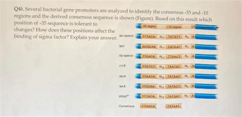 Solved Q4 Several Bacterial Gene Promoters Are Analyzed To Chegg