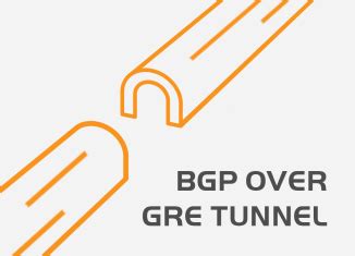 BGP Over GRE Tunnel Noction