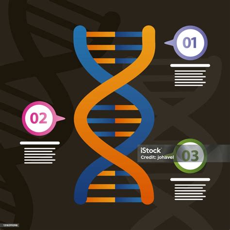 Dna Genetic Infographic Stock Illustration Download Image Now
