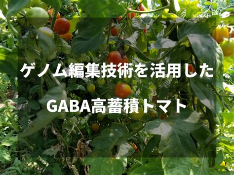 Gaba