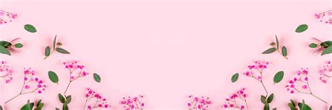 파스텔 핑크 배경에 아름다운 봄 꽃과 유칼립투스 가지 자연스러운 패턴 트렌디 한 배경 축제 개념 배너 필수 텍스트에 대 한 배치 공간을 복사합니다 맨 위 보기입니다 0명에