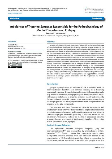 Pdf Imbalances Of Tripartite Synapses Responsible For The