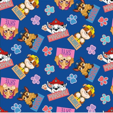 Paw Patrol Dress Skye And Everest Paw Patrol Birthday Outfit Paw