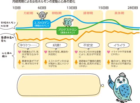 月経トラブル、月経前症候群｜女性の気になる健康トラブルを防ぐ！今・未来の健康づくり