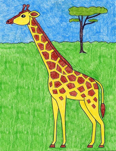Easy Giraffe Drawing Giraffes Artistic Drawing Day 55555521 Vector