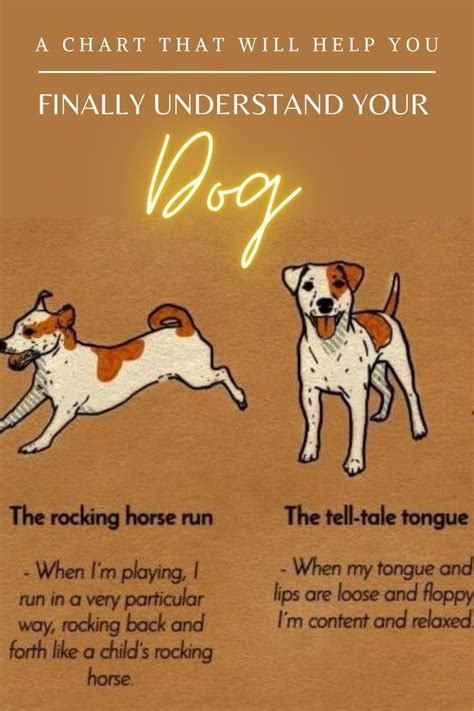 A Chart That Will Help You Finally Understand Your Dog Understanding