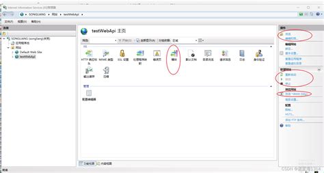 Iis 部署dotnet Hosting 5017 Win Csdn博客