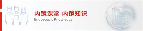 内镜知识