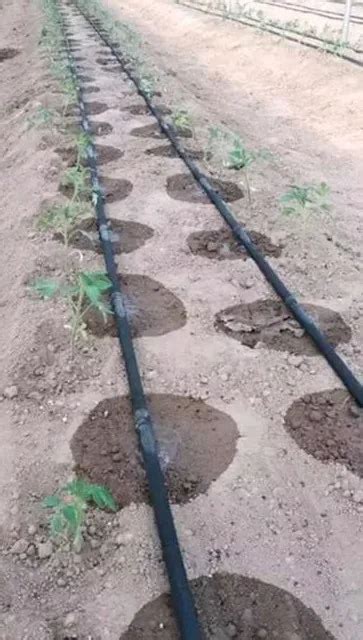 Mm Drip Irrigation Tape Connectors Drip Hose Fittings Lock Nut Pipe Joints Micro Irrigation