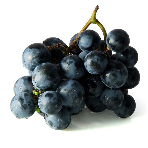 Wein Selber Machen Anleitung