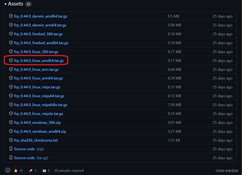 Frp内网穿透搭建frpc Csdn博客