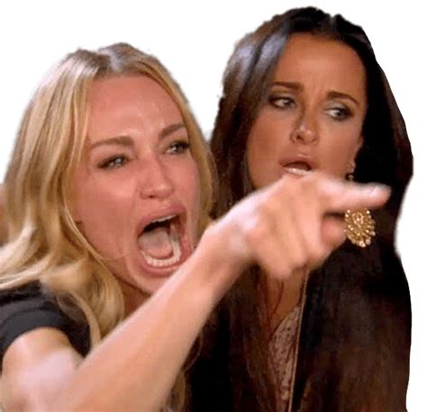 Woman Yelling At Cat Meme Transparent Png Stickpng