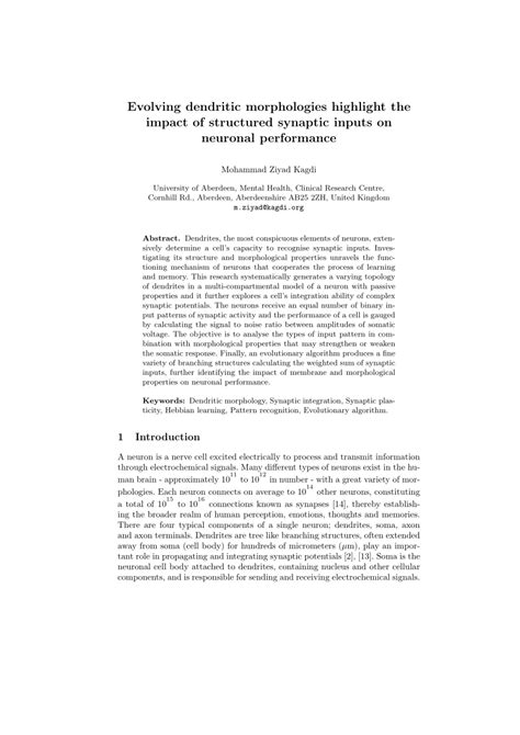 pdf evolving dendritic morphologies highlight the impact of