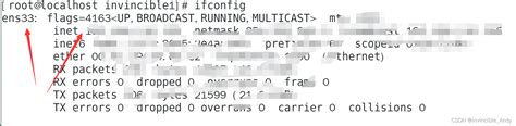 在linux系统中web服务的访问测试如何测试使得外界能够访问本主机的web服务 Csdn博客