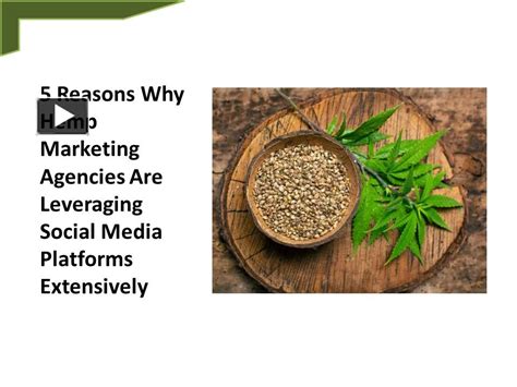 Ppt 5 Reasons Why Hemp Marketing Agencies Are Leveraging Social Media