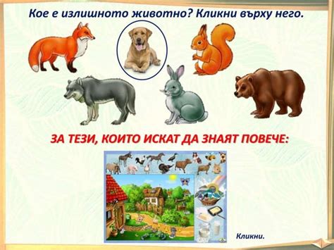 13 Диви и домашни животни РК Просвета В П Pptx