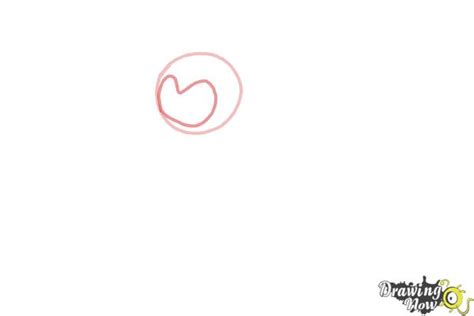 How To Draw Sonia The Hedgehog From Sonic Drawingnow
