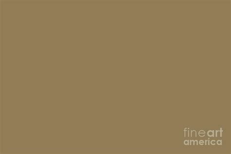 Dark Golden Brown Solid Color Pairs Ppg Tweed Ppg1098 6 All One