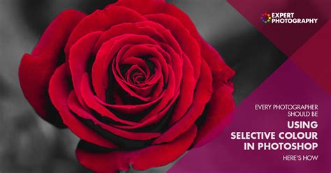 How To Use Selective Color In Photoshop For Amazing Effect