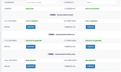 Bug clash 内核错误 Issue 3257 vernesong OpenClash GitHub