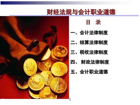 2016年财经法规与会计职业道德课件word文档在线阅读与下载无忧文档