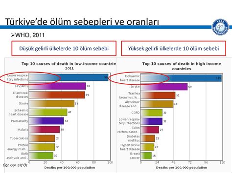 YAŞAM BOYU SPOR 2 hafta Öğr Gör Elif Öz ppt indir