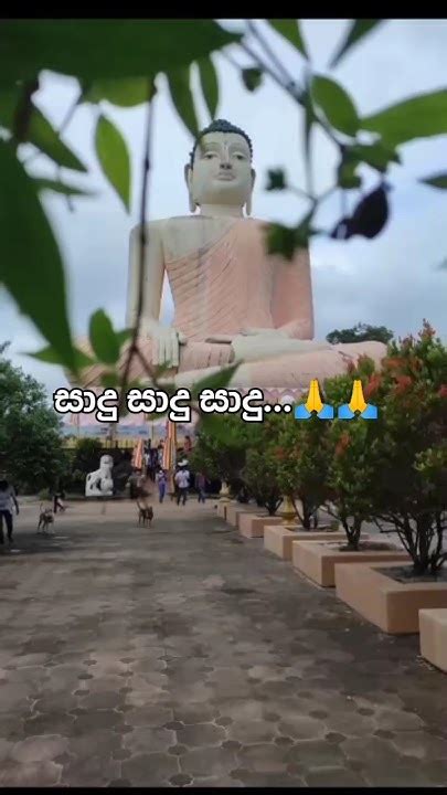 නෙත සැනසිල්ල බුදු හිමි රුව දැකීමය 🙏🙏🙏🙏 Youtube