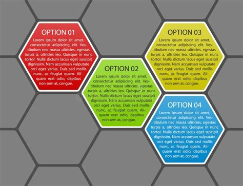 Paper Option Steps Diagram Infographic Layout Stock Vector