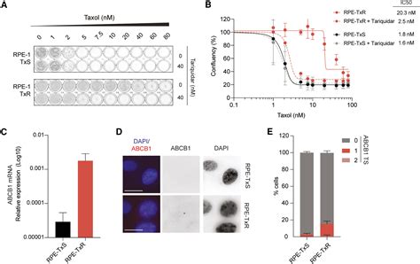Perturbations In 3d Genome Organization Can Promote Acquired Drug