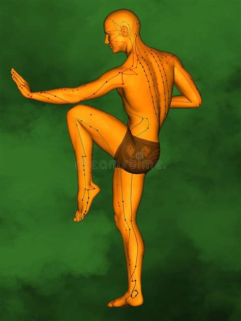 Acupuncture Model M Pose Ma S 01 02 3d Model Stock Illustration