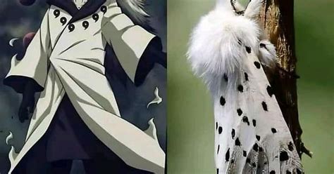 Madara Album On Imgur