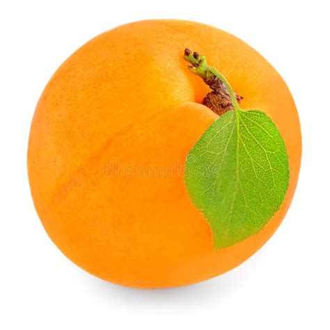 Single Fruit Image Single Fruit Photos Download Free High Quality