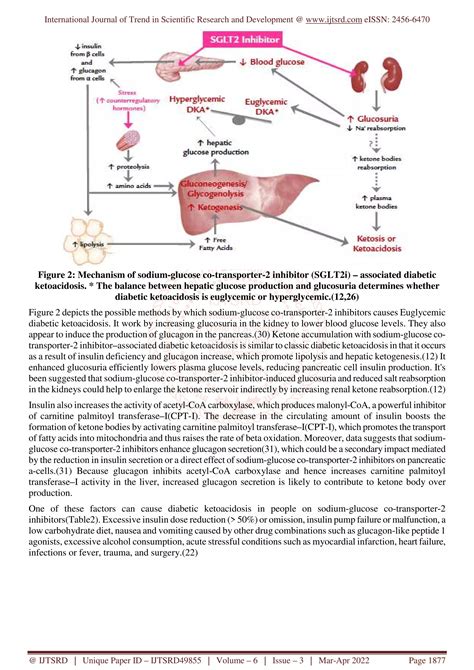 A Review On Euglycemic Diabetic Ketoacidosis Pdf