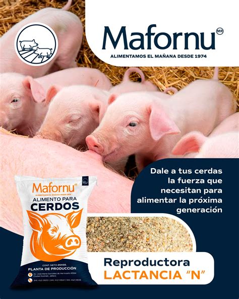 Mafornu Ciudad Guzmán