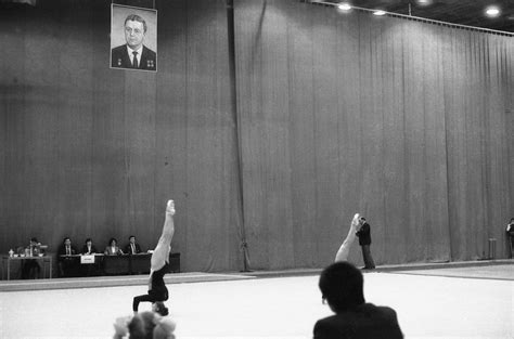 Algirdas Šeškus Lietuvos Kultūros Institutas