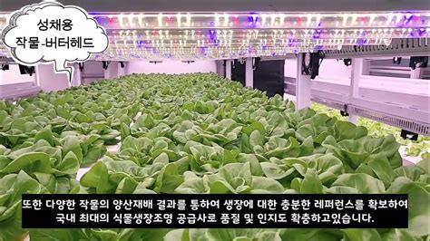스마트팜 식물성장용 Led조명 지엘비텍 Led광원부터 Led조명까지 100 국내 생산 제품 Youtube