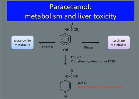 Paracetamol Overdose Flashcards Quizlet