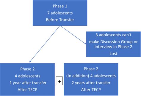 Flow Chart Of The Participantsstudy Download Scientific Diagram