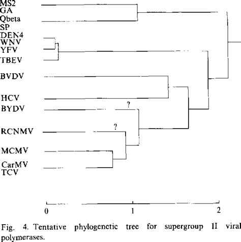Figure From The Phylogeny Of RNA Dependent RNA Polymerases Of Positive Strand RNA Viruses