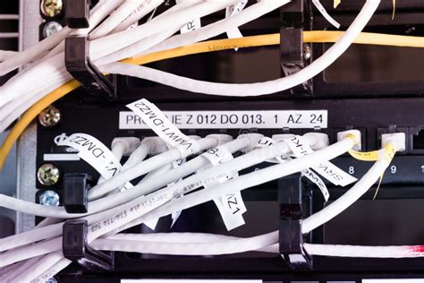 Network Cables Connected Into Server Inside Data Center Stock Image Image Of Bandwidth