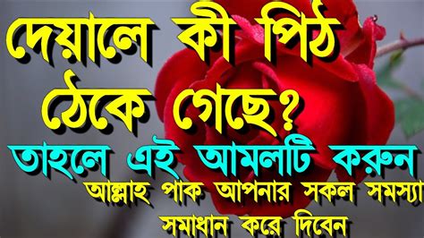 দেয়ালে কী পিঠ ঠেকে গেছেতাহলে এই আমলটি করুন আল্লাহ পাক আপনার সকল