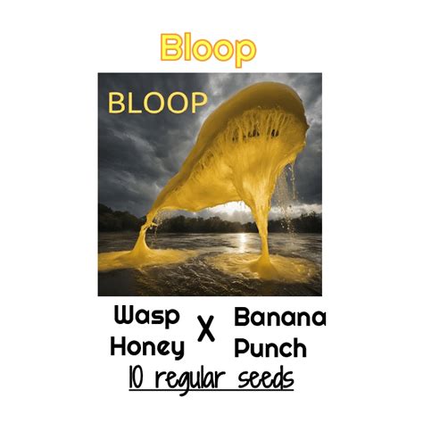 Bloop Terpfi3nd Genetics