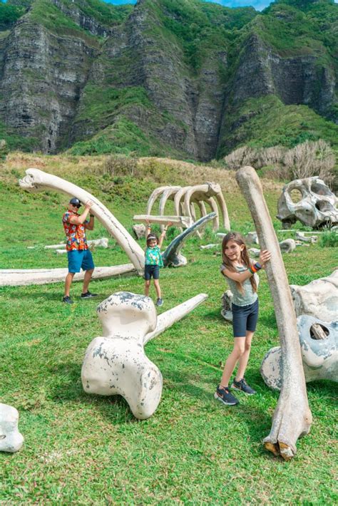 A New Kualoa Ranch Jurassic Adventure Tour 2021
