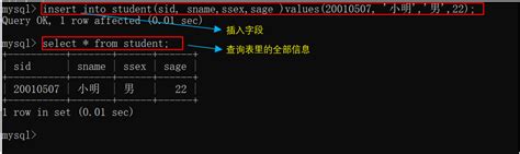 Mysql创建数据库创建数据库进入 Csdn博客