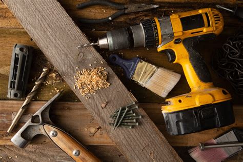 How To Build A Barred Owl Nesting Box For Your Backyard