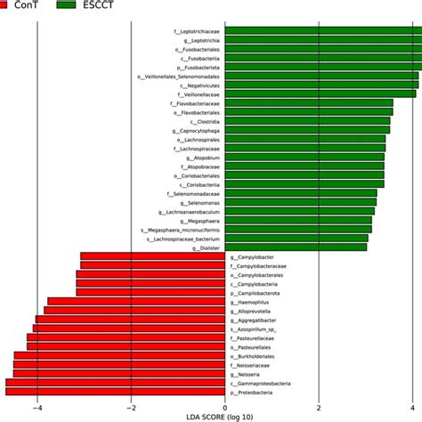 Lefse Analysis Showed The Most Abundant Taxa From The Phylum To The