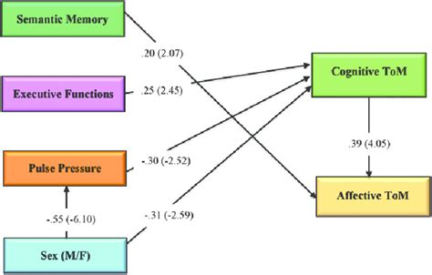 Path Model For Predictors Of Theory Of Mind Tom In Young Adults χ 2